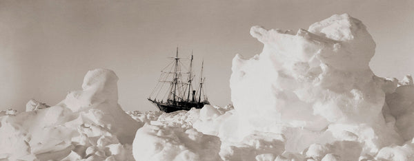 PLATINUM PRINTS // THE DETAILS – Shackleton