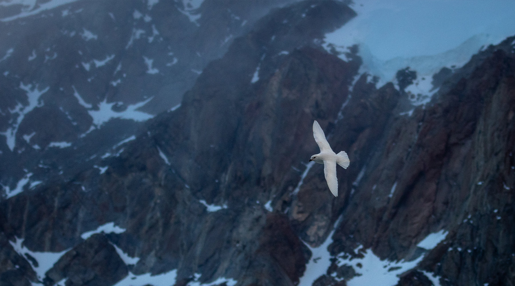 EXPLORING LAKE UNTERSEE: Dr James Grecian | Shackleton