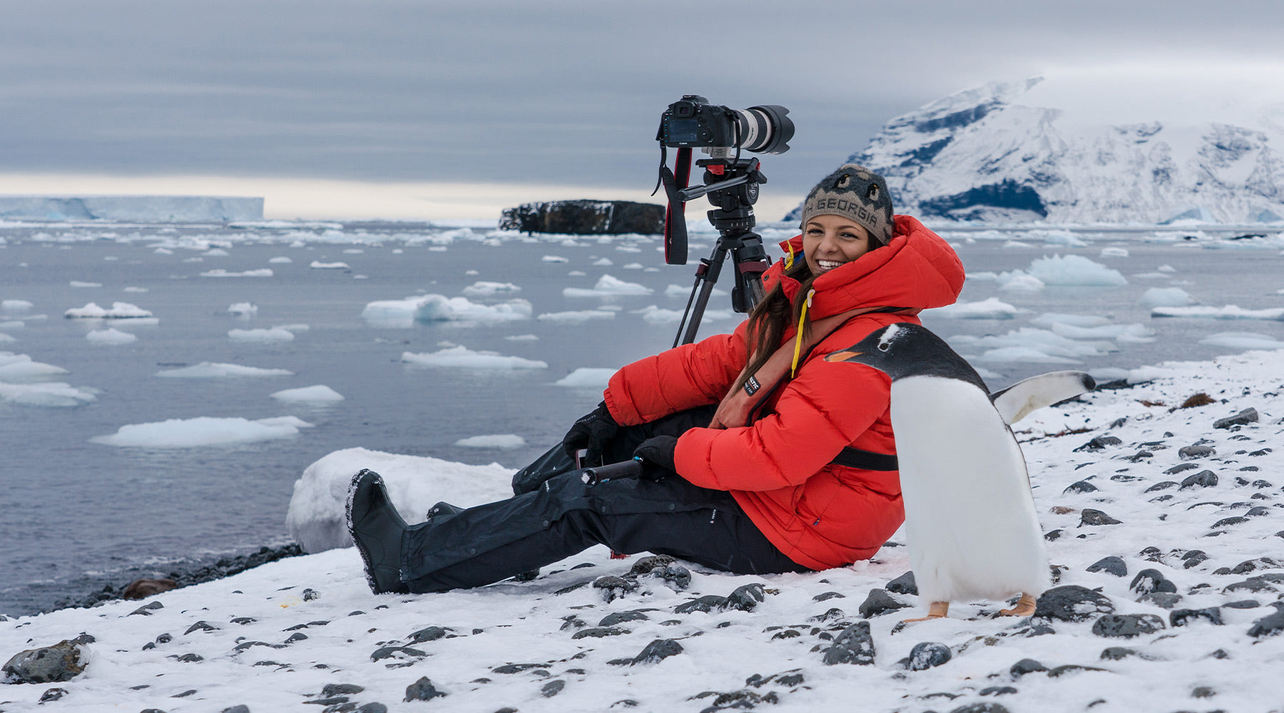 Antarctic wildlife with biologist Lizzie Daly | Antarctica NOW